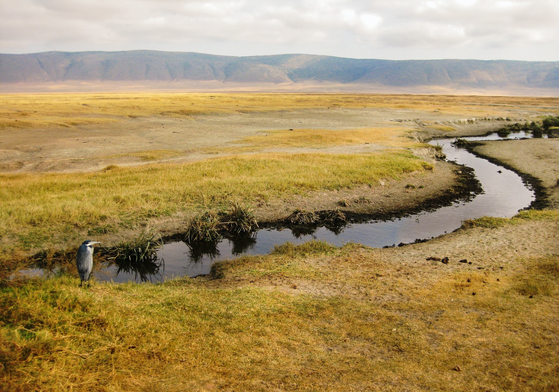 Ngorongoro Conservation Area Entry Fees | 2026/27 Rates