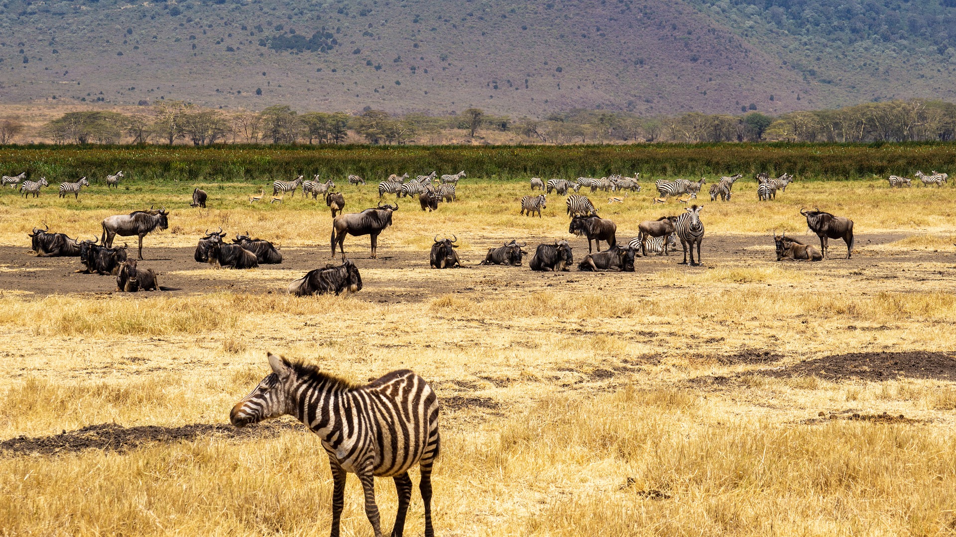 History of Ngorongoro Crater & Conservation Area