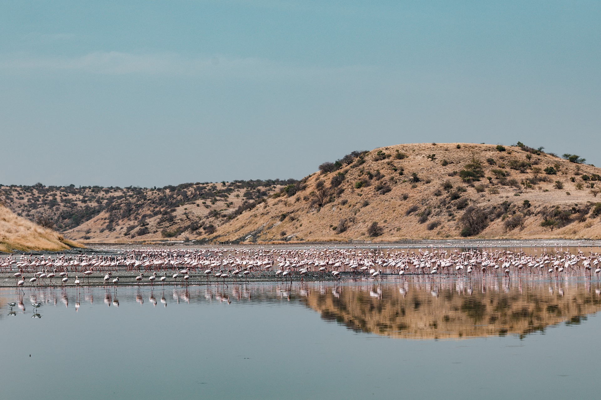 The Lake Magadi (Lake Makati) in Ngorongoro Tanzania