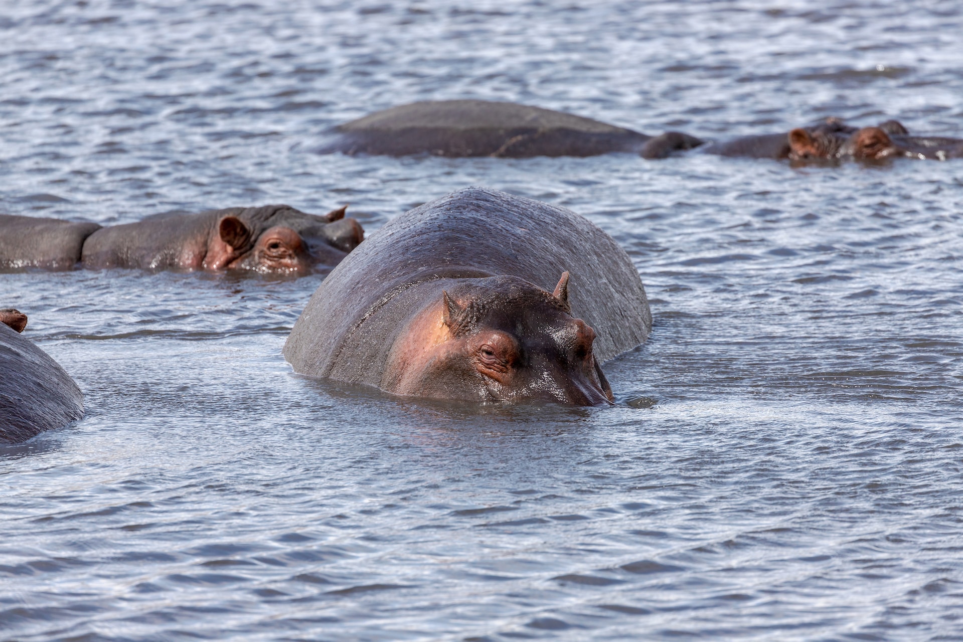 Gorigor Swamp | Ngorongoro Safari Guide