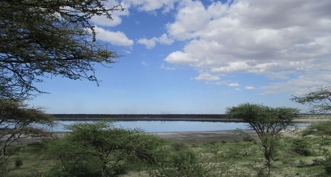 Lake Ndutu Guide | Wildlife & Scenic Beauty in Ngorongoro