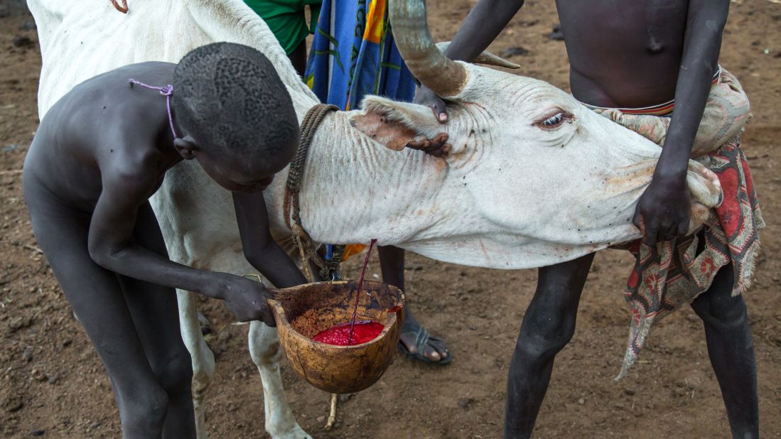 Why the Maasai Drink Cattle Blood | Cultural Insights
