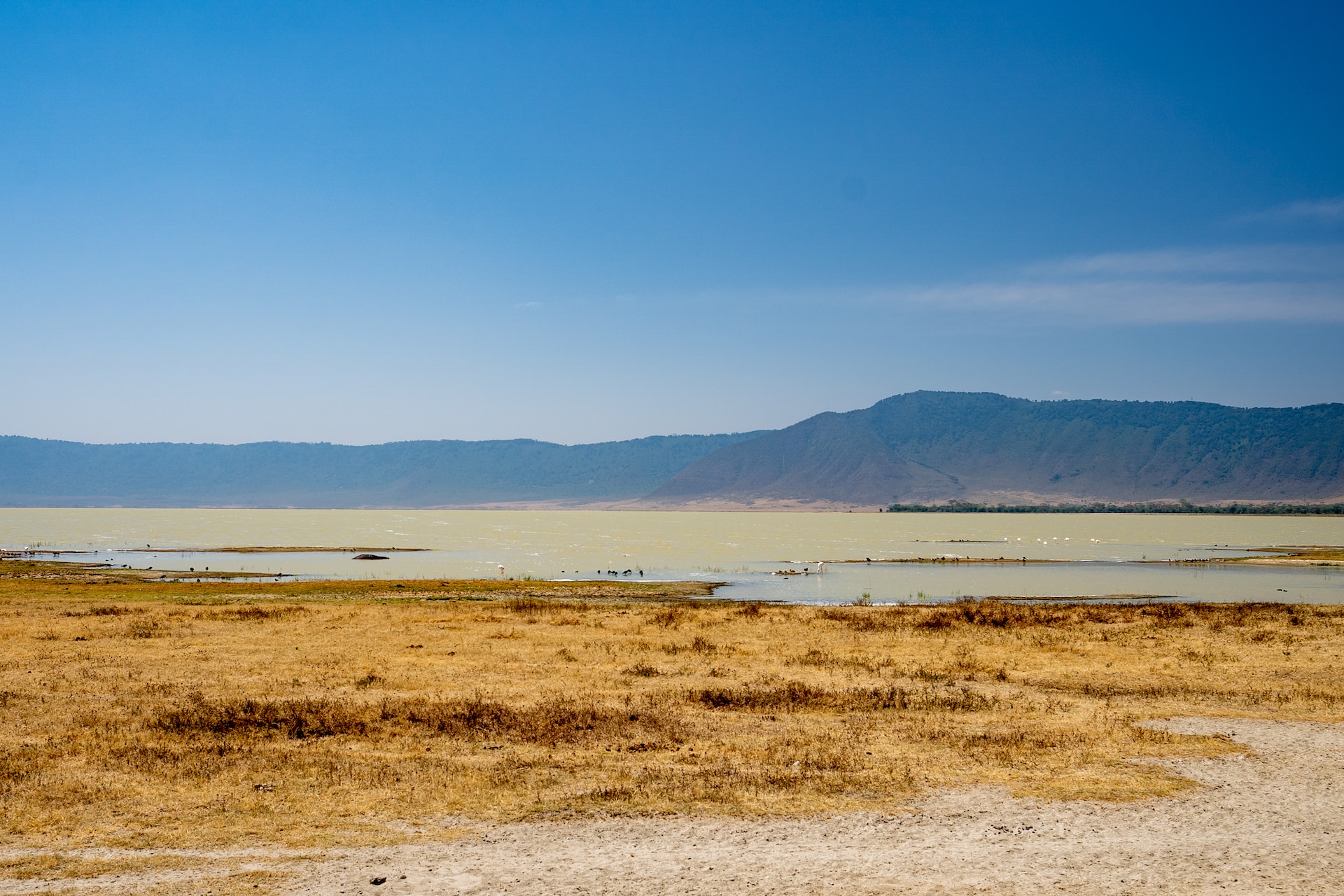 Why Visit the Ngorongoro Conservation Area in Tanzania